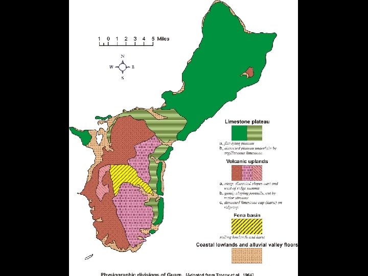 Geomorphology of Guam BI 201 Natural History of