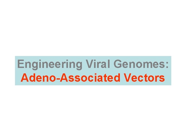 Engineering Viral Genomes AdenoAssociated Vectors Viral vectors ...