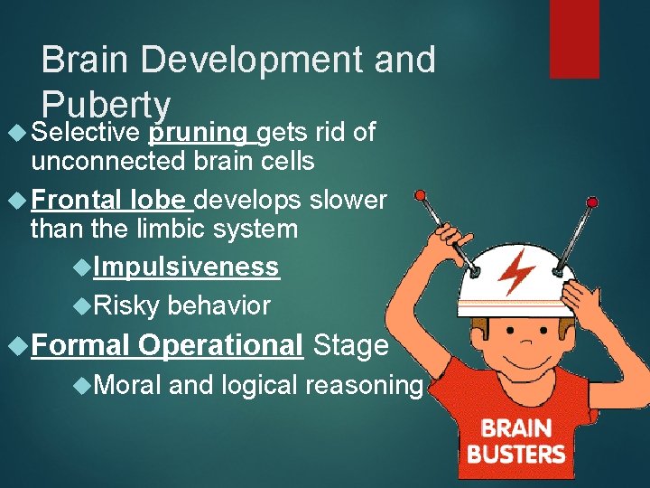 Chapter 4 pt 2 Developmental Psychology Adolescence Biology