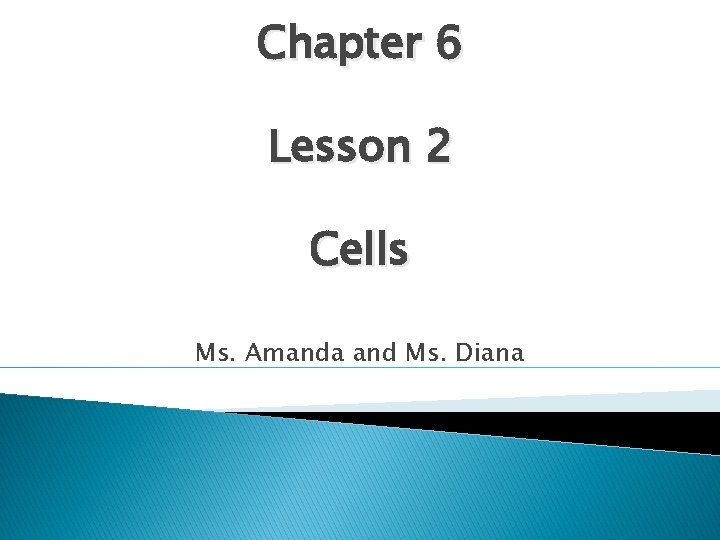 Chapter 6 Lesson 2 Cells Ms Amanda and