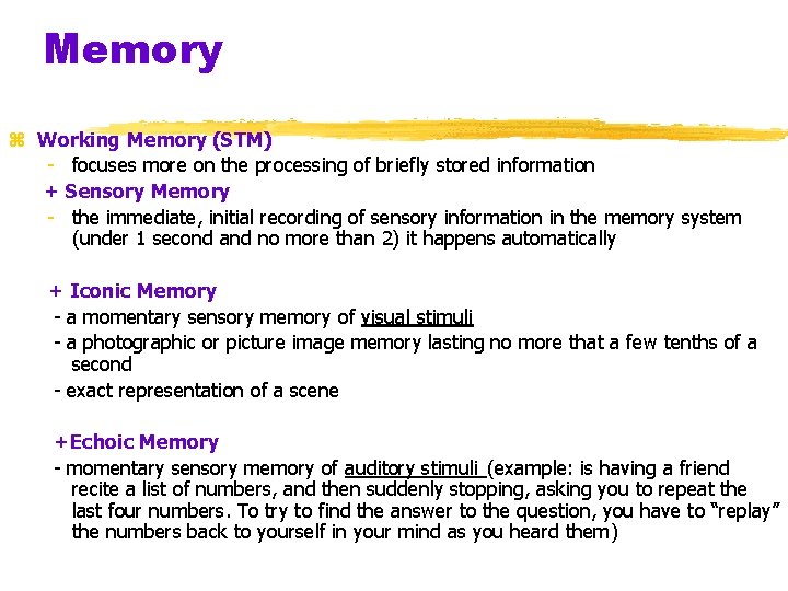 Memory z Memory y persistence of learning over
