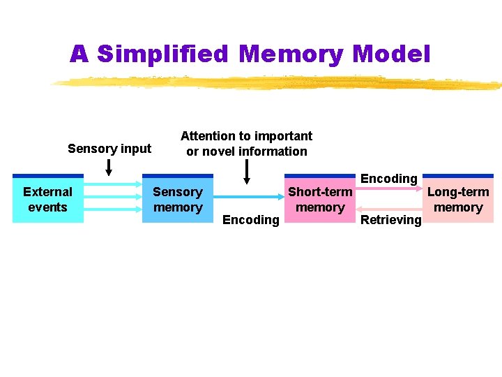 Memory z Memory y persistence of learning over