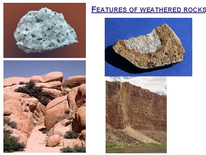 8 SEDIMENTARY ROCKS ETextbook Chapters 5 6 Sedimentary