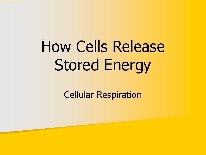How Cells Release Stored Energy Cellular Respiration ATP