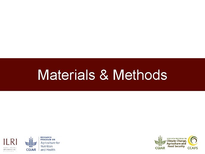 Assessment of Aflatoxin B 1 contamination in maize