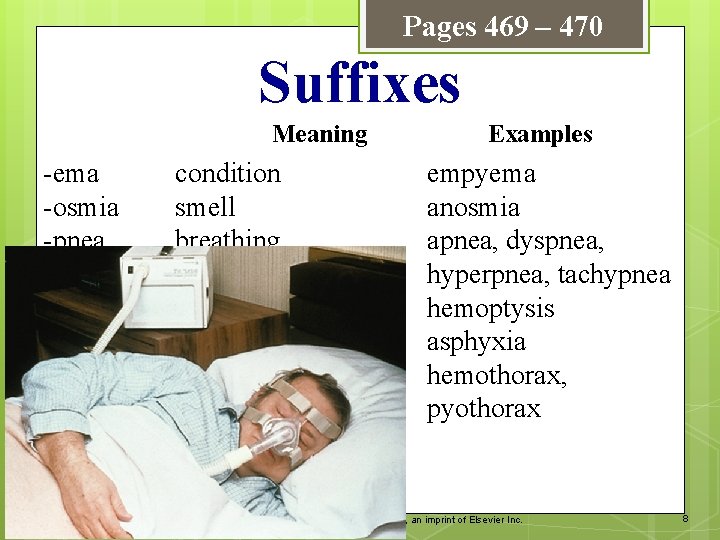 Chapter 12 Objectives v Name the organs of
