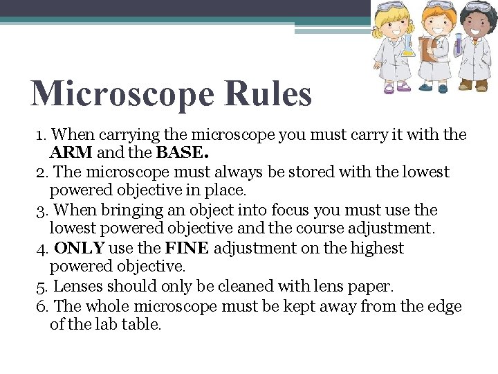Microscope Notes Lets get to know the Microscope