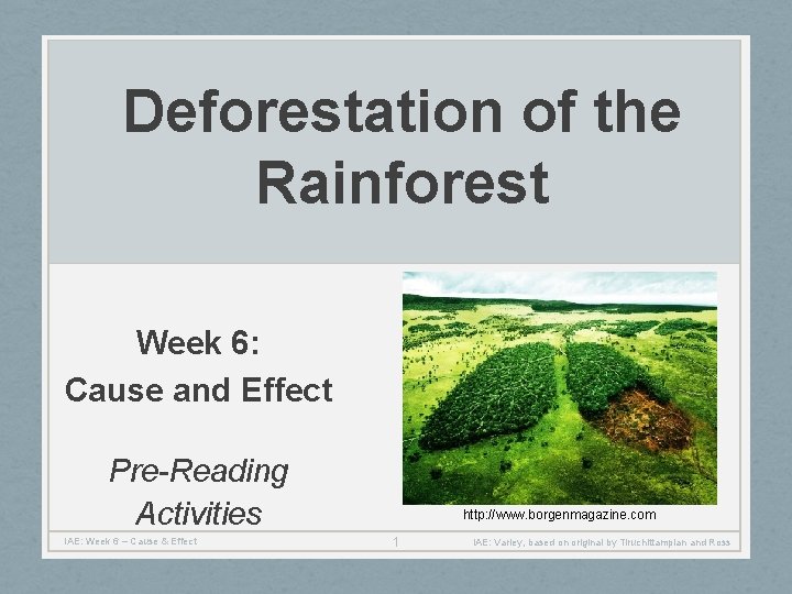 Deforestation of the Rainforest Week 6 Cause and