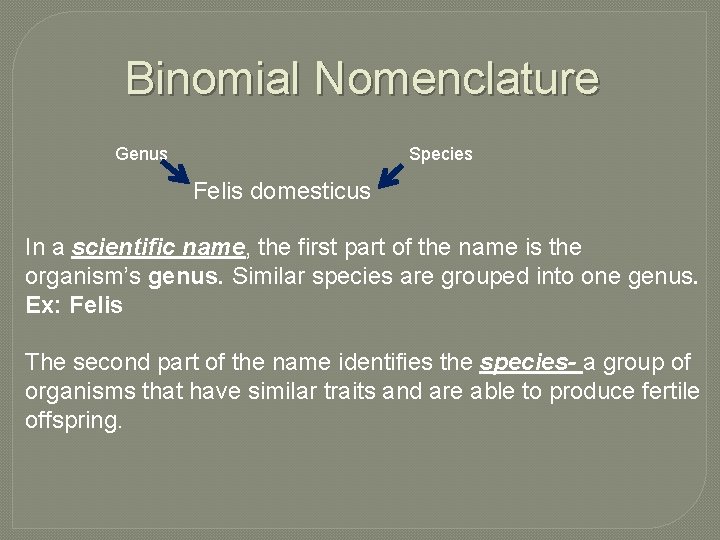 Classifying Organisms Classification putting things into groups based