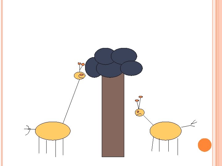 Write Green EVOLUTION NATURAL SELECTION Chapter 13 Lesson