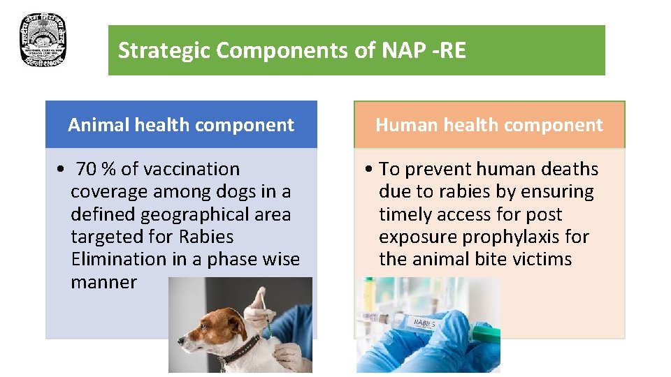 Updates on National Rabies Control Programme Dr Simmi