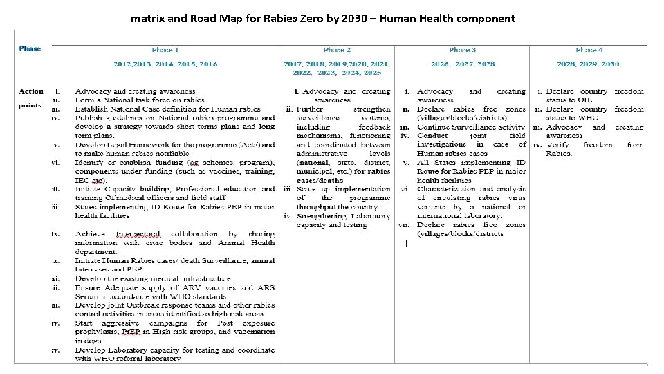 Updates on National Rabies Control Programme Dr Simmi