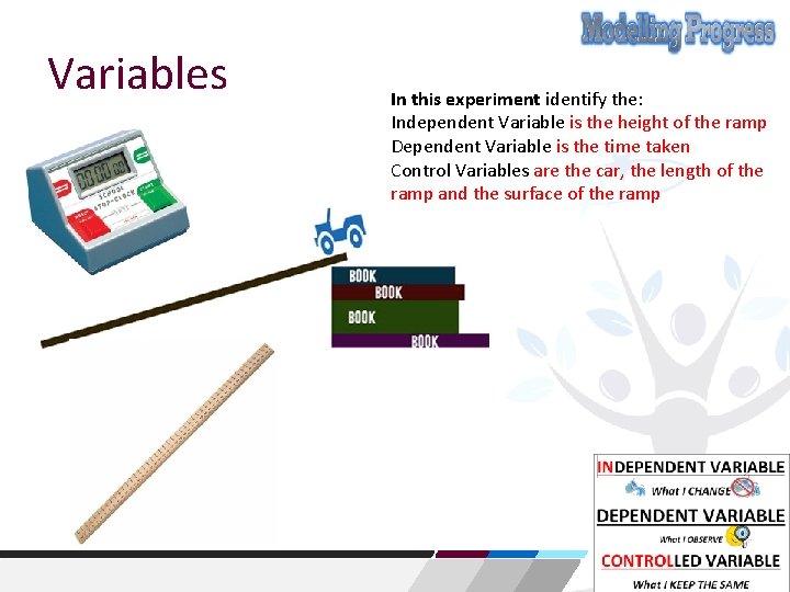 Topic Cells What is the difference between prokaryotes