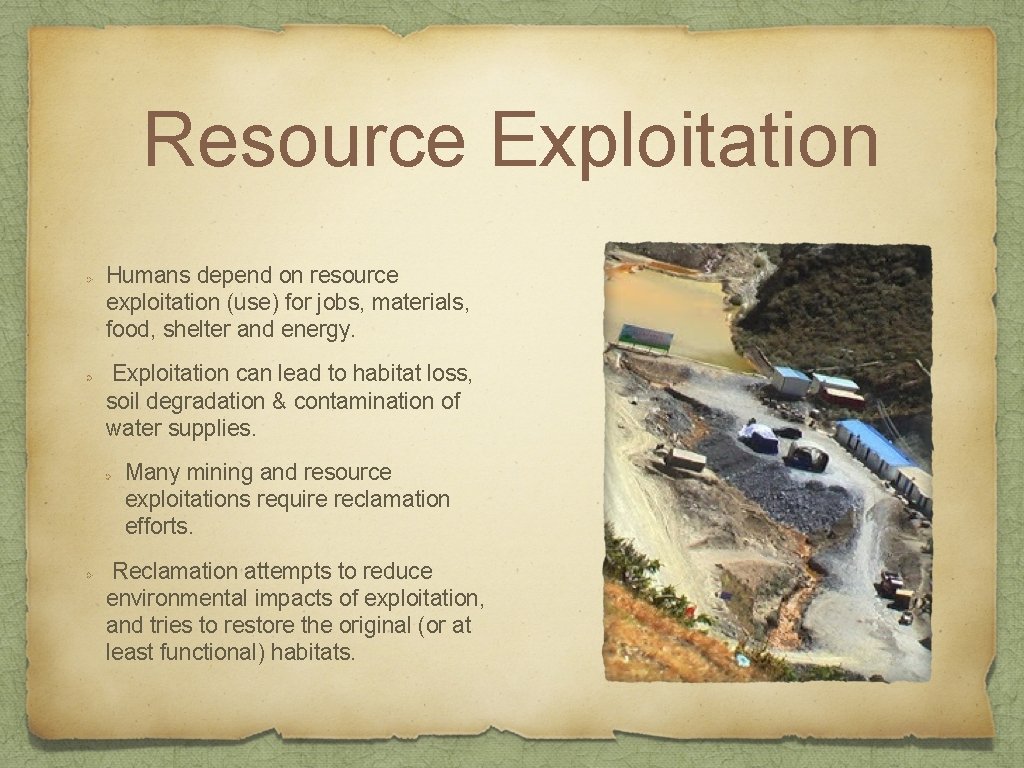 How Humans Influence Ecosystems Section 3 2 Wetlands