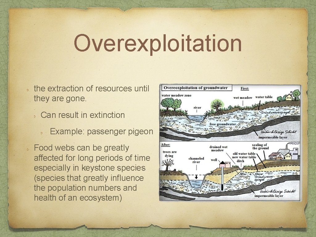 How Humans Influence Ecosystems Section 3 2 Wetlands