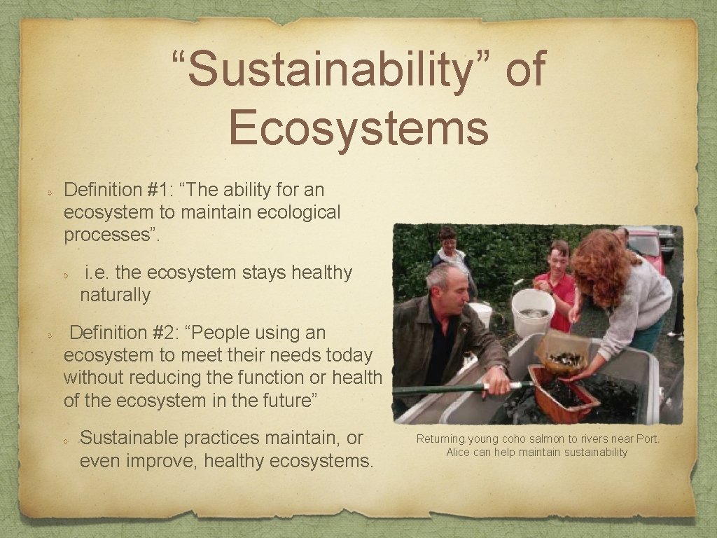 How Humans Influence Ecosystems Section 3 2 Wetlands