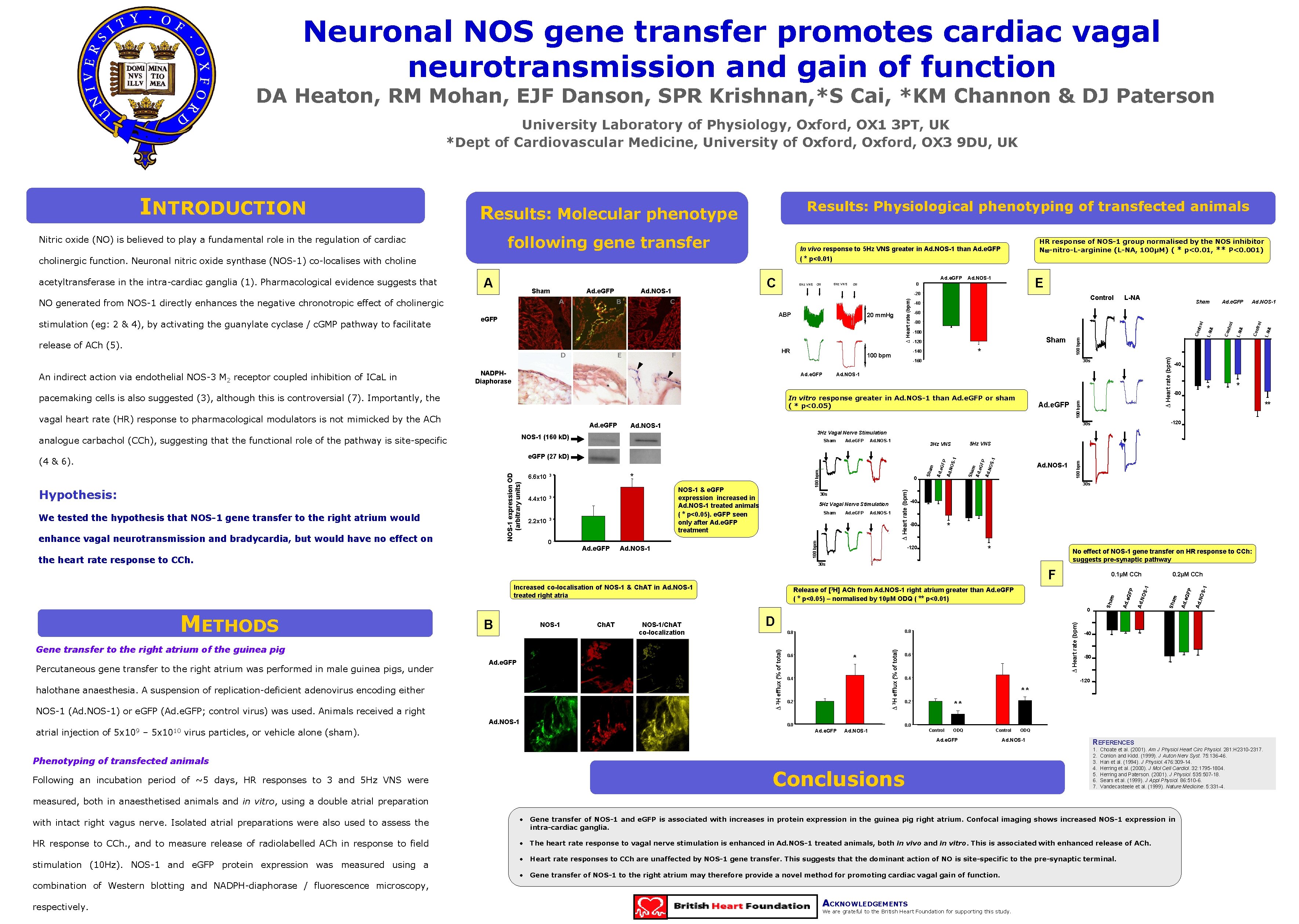 Neuronal NOS gene transfer promotes cardiac vagal neurotransmission