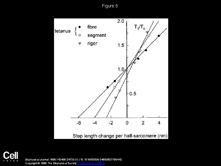The Stiffness of Skeletal Muscle in Isometric Contraction