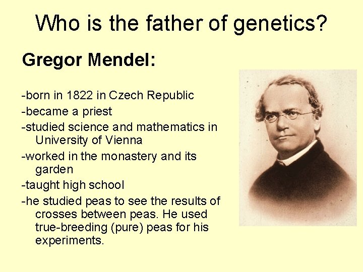 Chapter 3 1 What is heredity What is