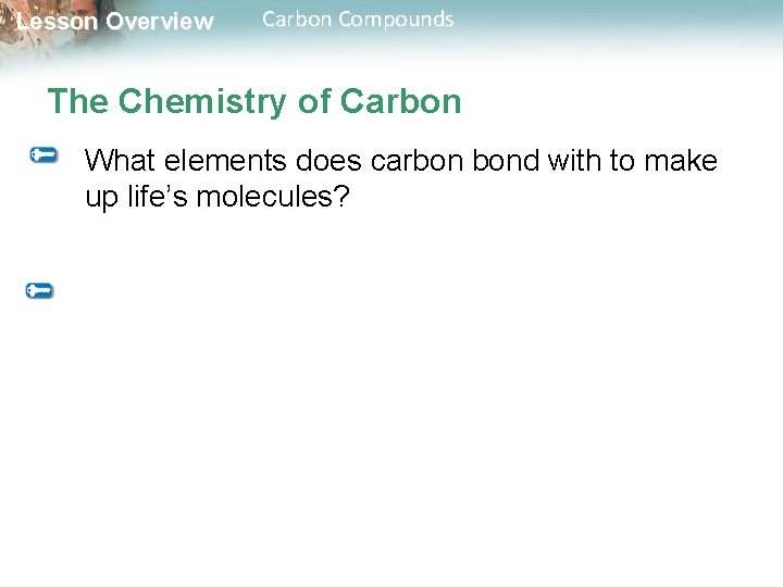 Lesson Overview Carbon Compounds Essential Question Why is