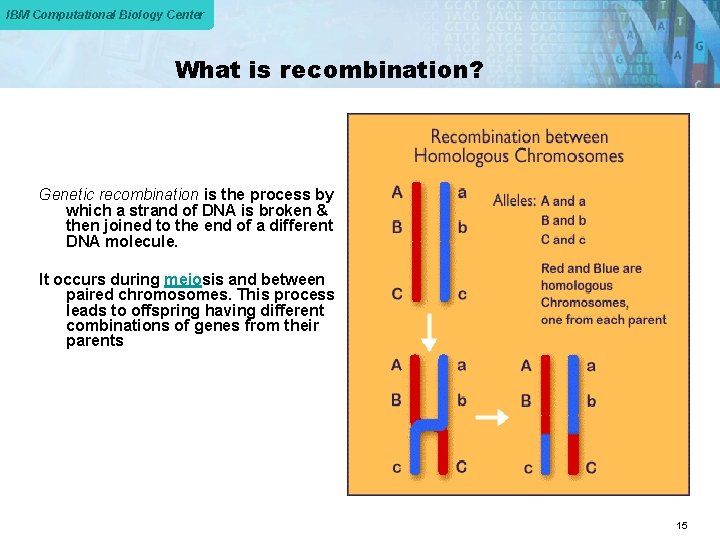 IBM Computational Biology Center Roadmap I Discovering Patterns