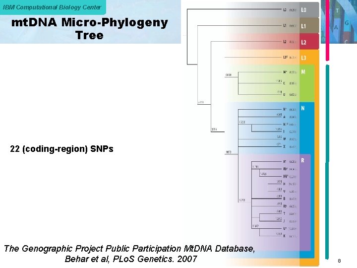 IBM Computational Biology Center Roadmap I Discovering Patterns