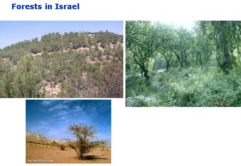 Facts about Israel Population 6 5 M Jews