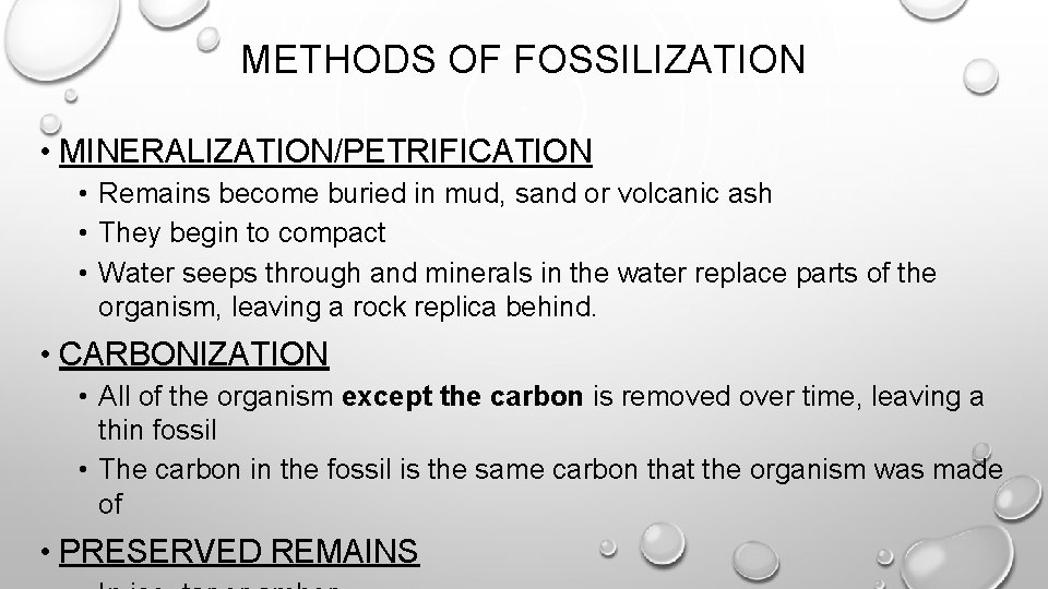 INTRODUCTION TO FOSSILS WHAT IS A FOSSIL PRESERVED
