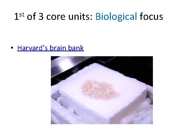 Welcome to IB Psychology WHAT ARE WE STUDYING