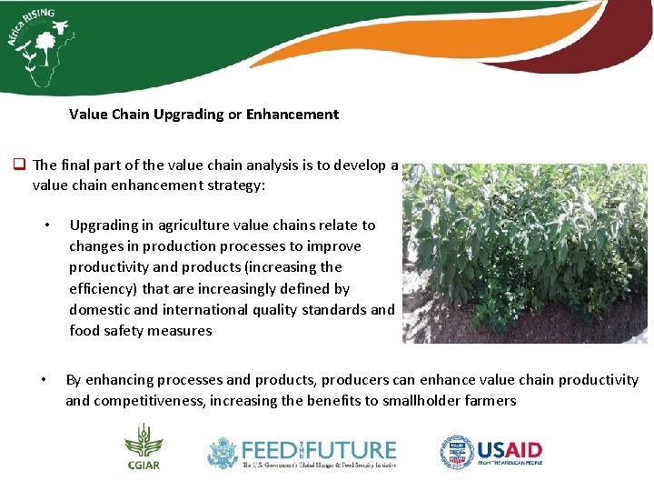 Value Chain analyses Status Plans Discussions and Responsibilities