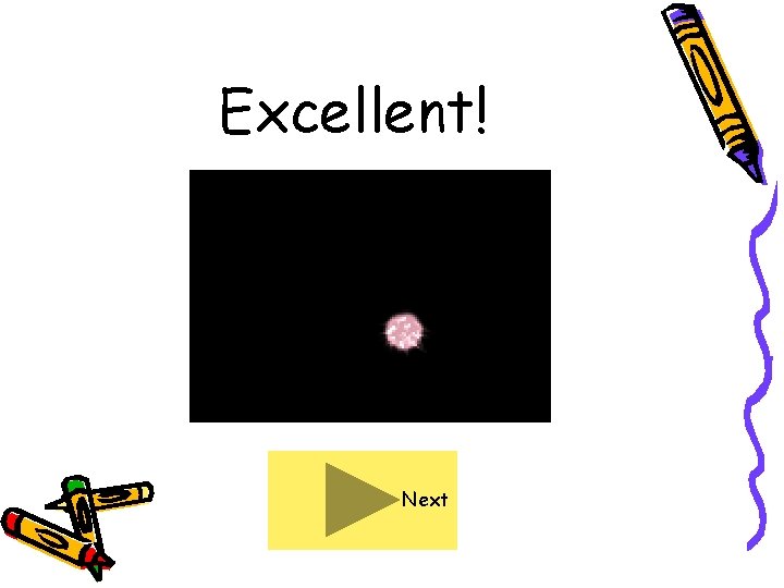 Cause Effect By Mr Gentili Jordan Jackson Elementary