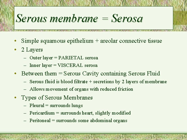 The Thoracic Cavity Boundaries of and Structures Within