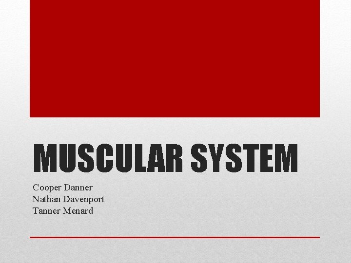 MUSCULAR SYSTEM Cooper Danner Nathan Davenport Tanner Menard