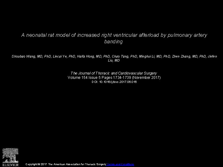 A neonatal rat model of increased right ventricular