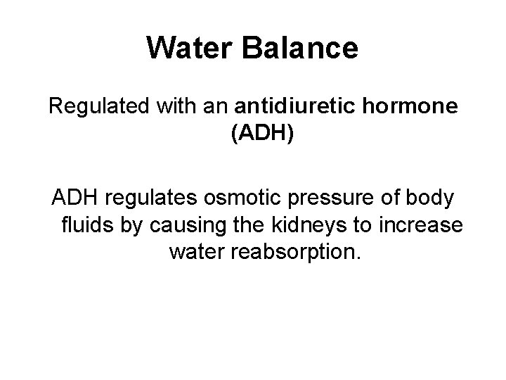 Water Balance Importance of Water Average adult loses