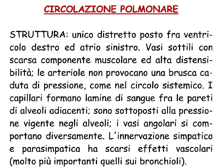 Atrio sx Vene Venule Capillari A piccole A