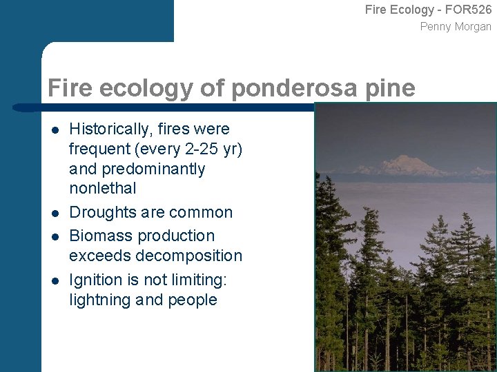 Fire Ecology FOR 526 Penny Morgan Fire ecology