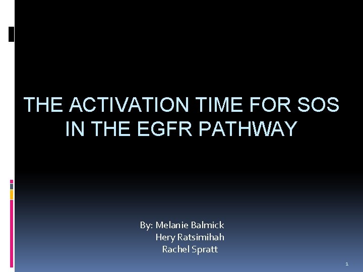 THE ACTIVATION TIME FOR SOS IN THE EGFR