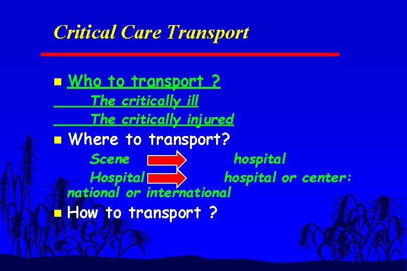 Transport of the Critically Ill Patients By Dr