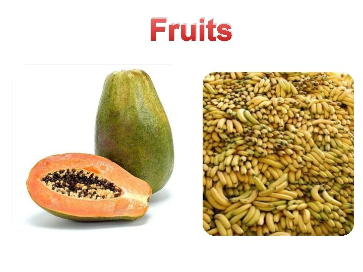 PRESENTATION tion ABOUT SOMALIA Introduction about Somalia Good