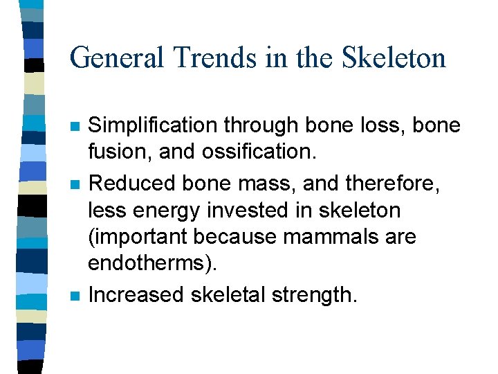 Vertebrate Adaptations Evolution of the Skeletal System General
