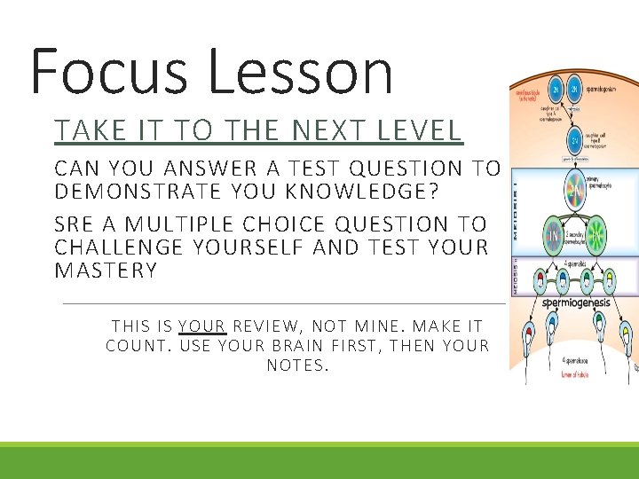 Focus Lesson TAKE IT TO THE NEXT LEVEL