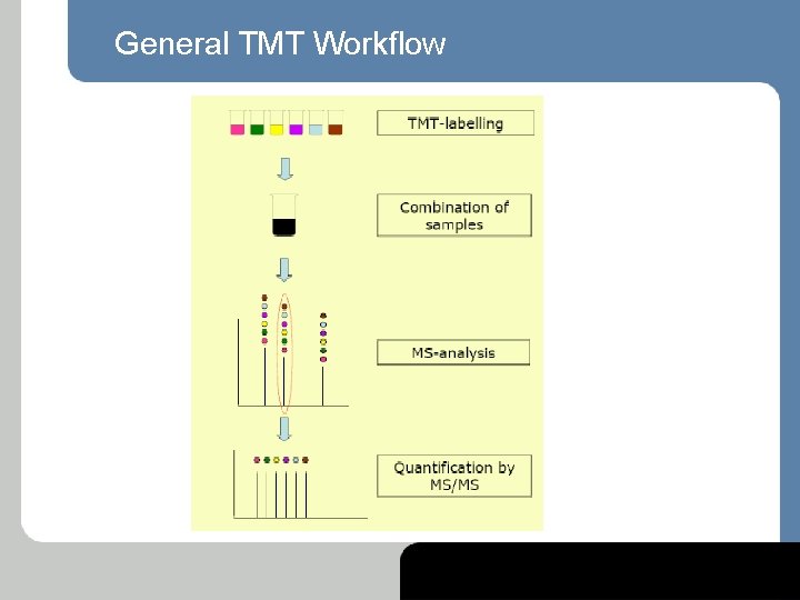 ProteinPeptide Quantification An Introduction to Quantification by Isotope