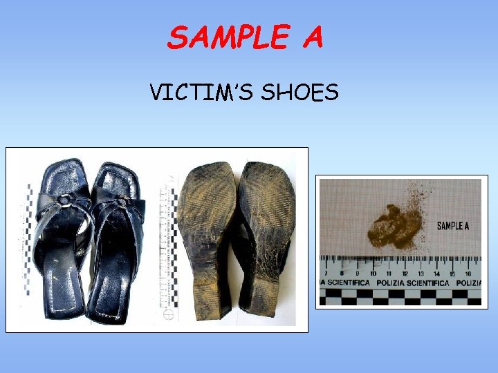 Minister of Interior Italian State Police Forensic Science