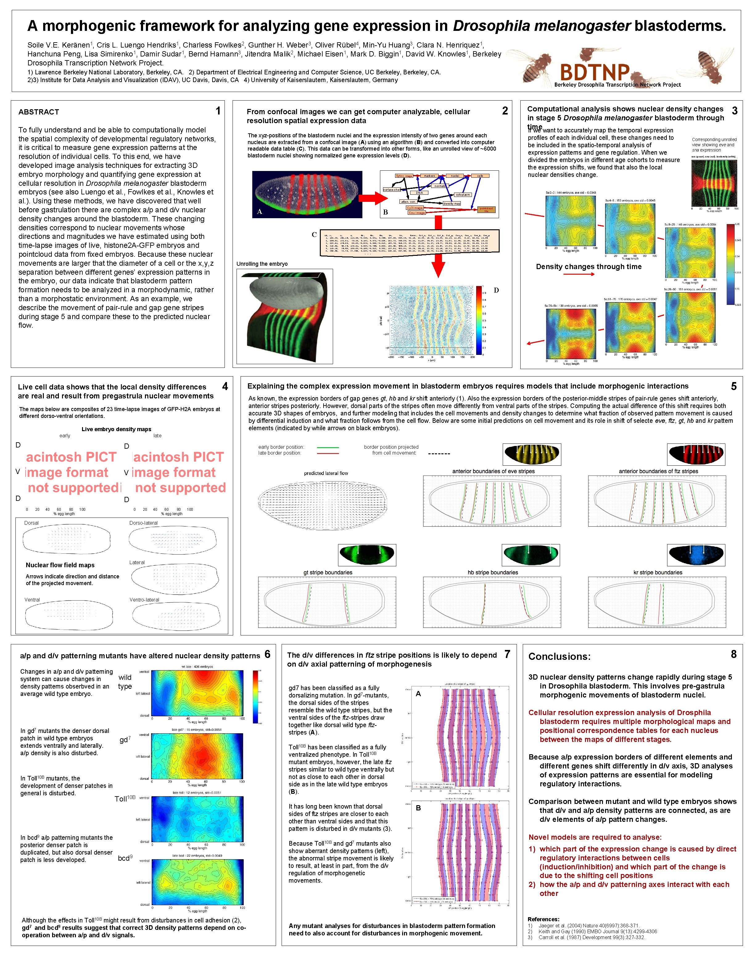 A morphogenic framework for analyzing gene expression in