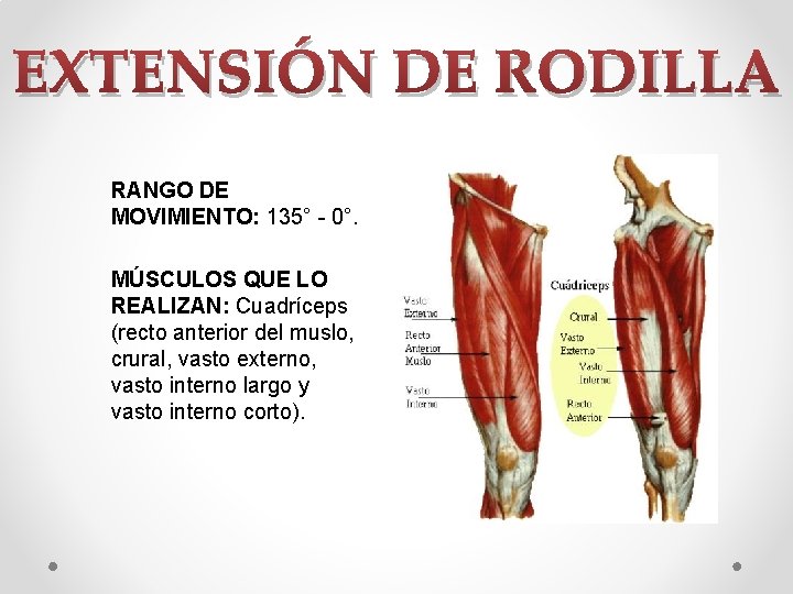 EXTENSIN DE RODILLA RANGO DE MOVIMIENTO 135 0