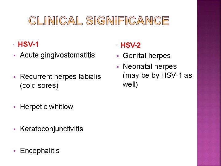 INTRODUCTION EPIDEMIOLOGY AND TRANSMISSION STRUCTURE REPLICATION ...