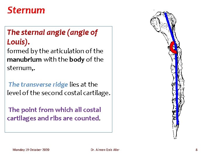 RESPIRATORY SYSTEM Thoracic Cage Diaphragm Dr Aiman Q