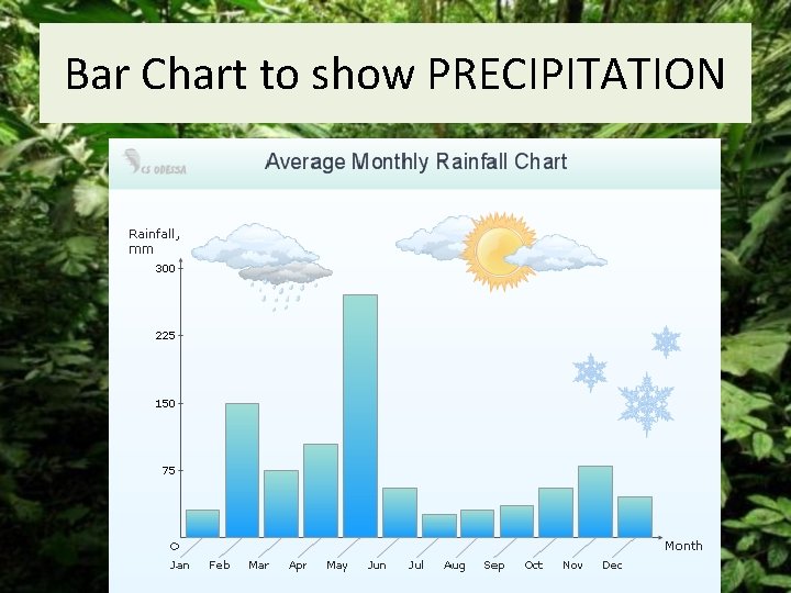 21122021 21 December 2021 Climate in Tropical Rainforests