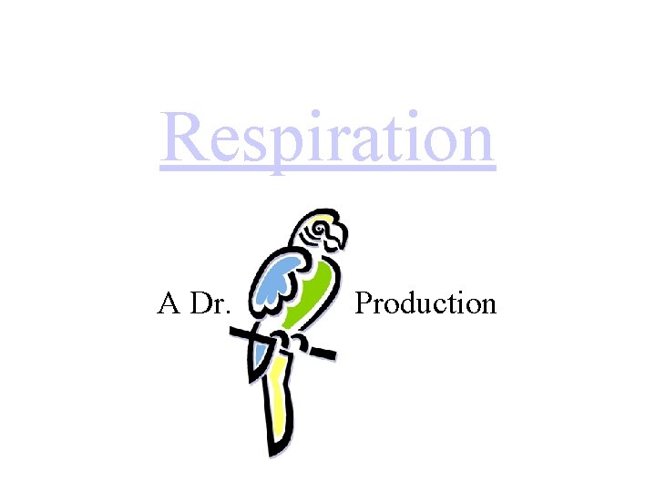 Respiration A Dr Production Energy Concepts Thermodynamics Reaction